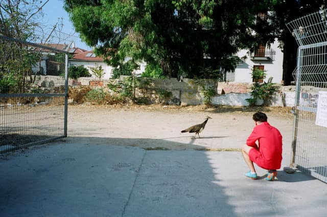 Visual Identity: Meet David Rudnick, the Designer behind Evian Christ ...