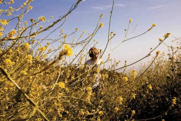 Jeremy Jay, “Splash” MP3 | The FADER