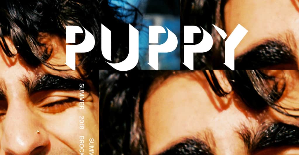 Brockhampton announce new project PUPPY | The FADER